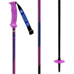 Ski Poles
