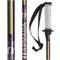 Armada T-Hall (Tanner Hall) Instrument Ski Poles 2008 | evo