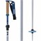 Line Skis Pollard's Paintbrush Ski Poles 2019 | evo