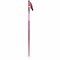 SWIX Techlite Pro Ski Poles - Women's 2019 | evo