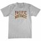 Casual Industrees Pacific Northwest Collegiate UW T-Shirt | evo