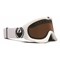 Dragon DXS Goggles | evo