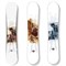 Flow Solitude Snowboard 2006 | evo