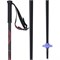 Line Skis Tac Ski Poles 2024 | evo