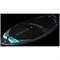 Phase Five Matrix Payne Pro Wakesurf Board 2025 | evo