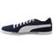 Puma Benecio Canvas Shoes | evo