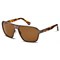 Zeal Riviera Sunglasses | evo