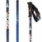 Atomic Powder Ski Poles 2016 | evo