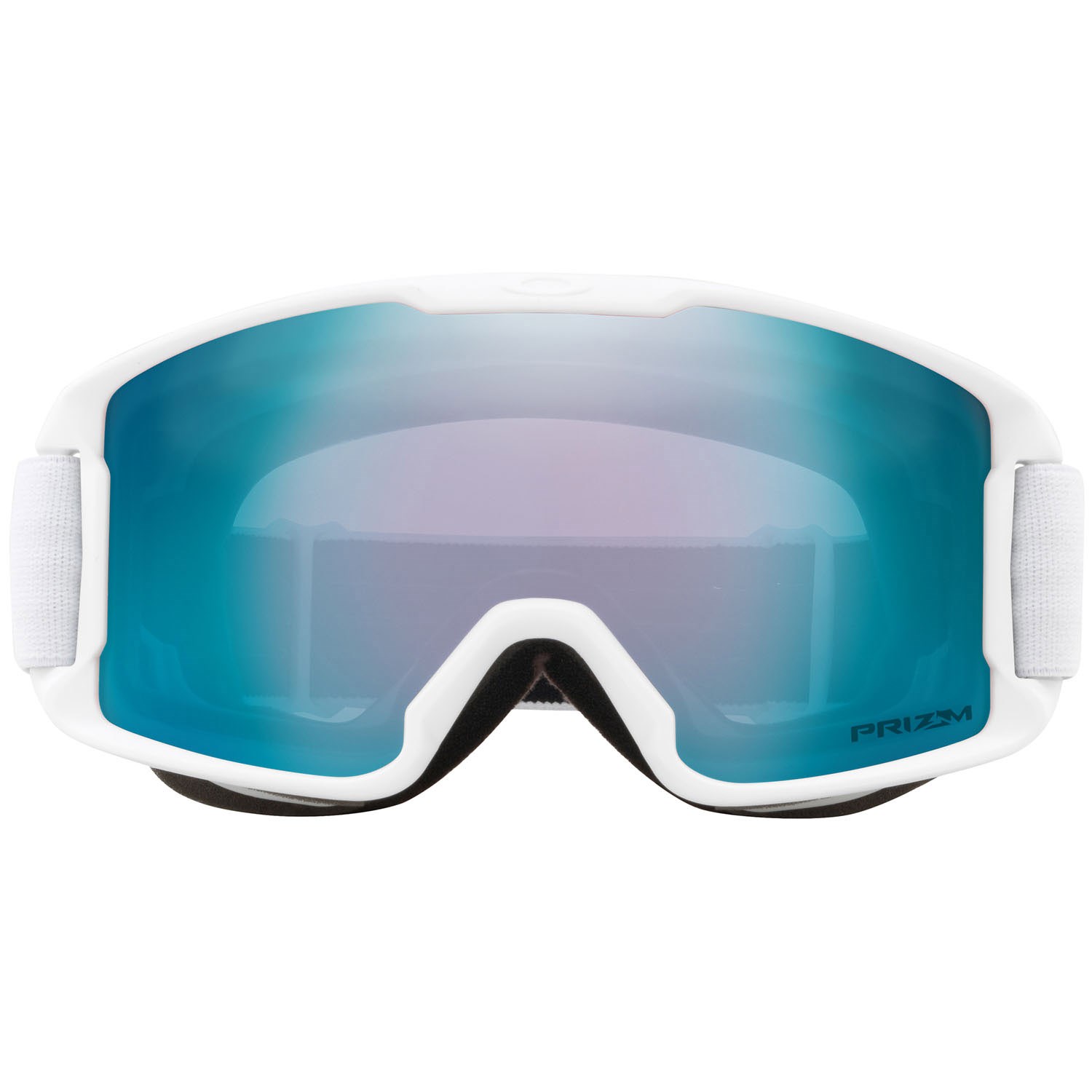 Oakley Ski Goggles Blue